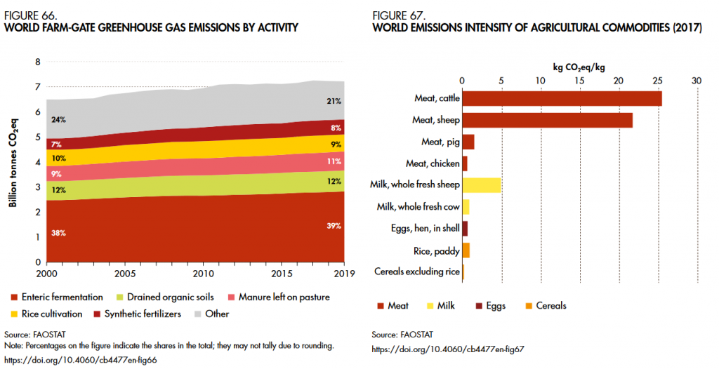 Agriculture in Numbers - FAO Statistical Yearbook 2021 - European ...